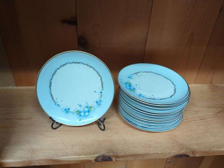 Antique Forget Me Nots plates - Auction Ohio