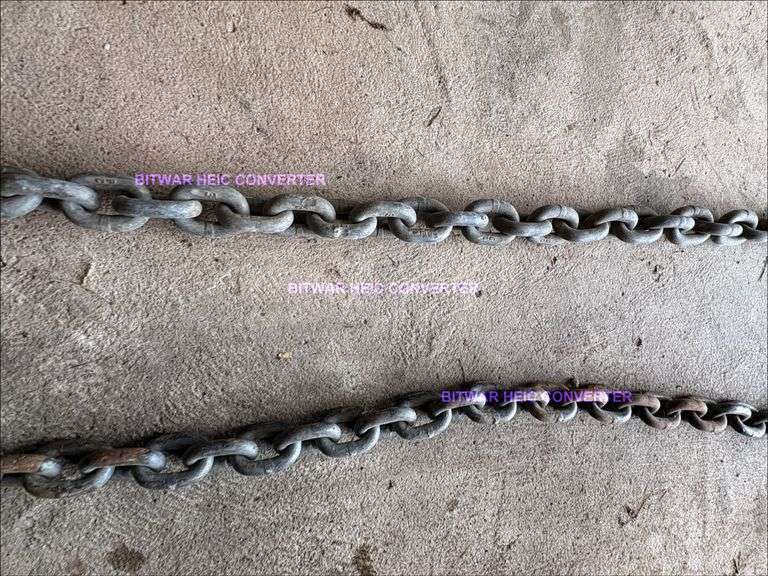 2 HD Log Chains - Auction Ohio