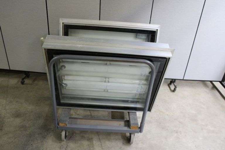 Two Glass-Front Fluorescent Light Fixtures in Metal Frames - Auction Ohio