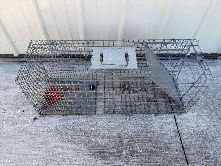 Live Trap - Auction Ohio