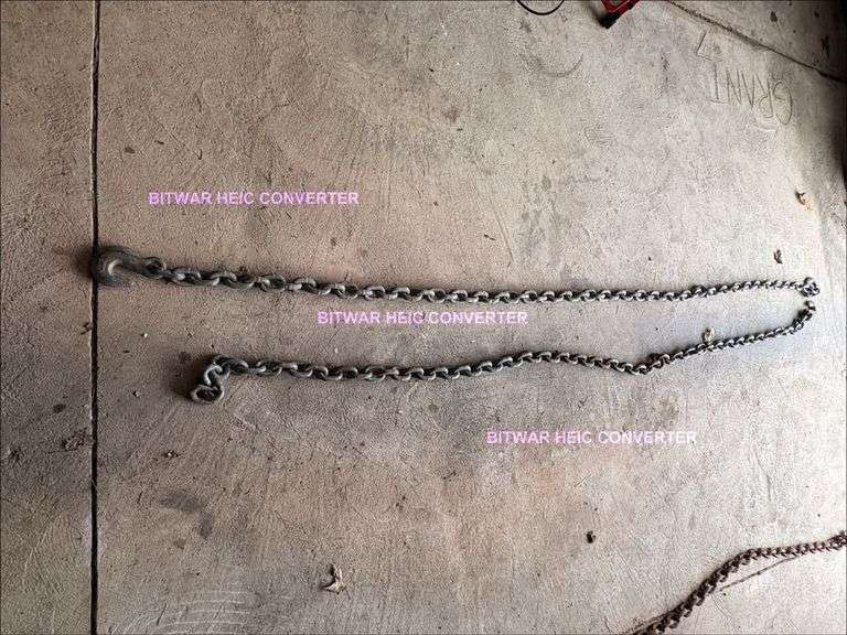 2 HD Log Chains - Auction Ohio