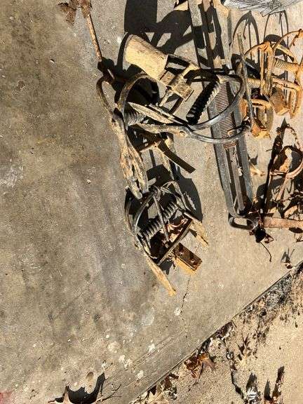 Traps - Auction Ohio