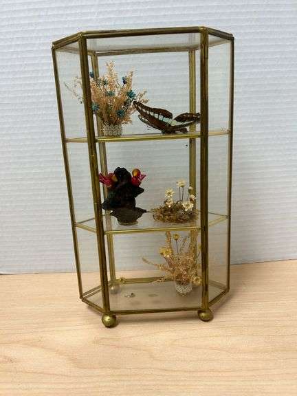 Miniature Curio Display Case - Auction Ohio