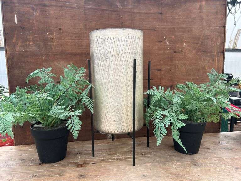 Large Vase with Base and Two Decorative Plants - Auction Ohio