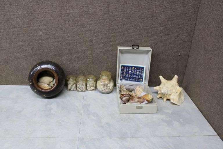 Collection of Sea Shells with Ceramic Vessel, Glass Jars - Auction Ohio