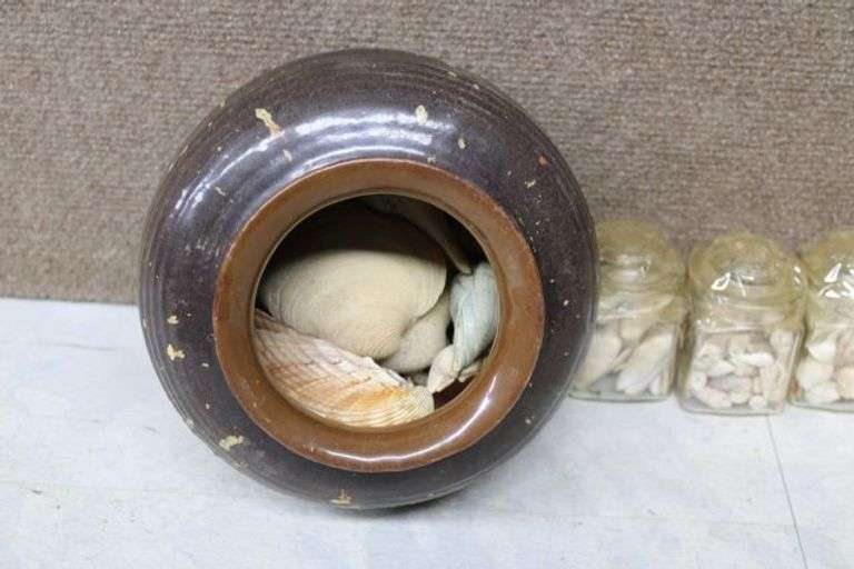 Collection of Sea Shells with Ceramic Vessel, Glass Jars - Auction Ohio