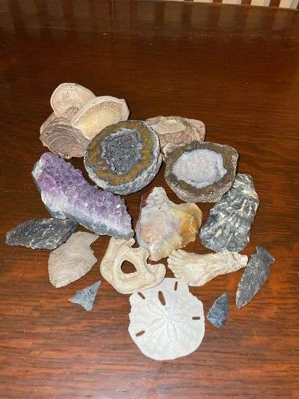 Fossils, Stones, Shells & Arrowheads – Includes Amethyst Cluster ...