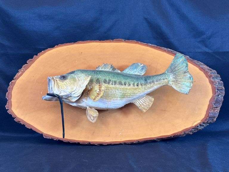 Large Mouth Bass Mount - Auction Ohio