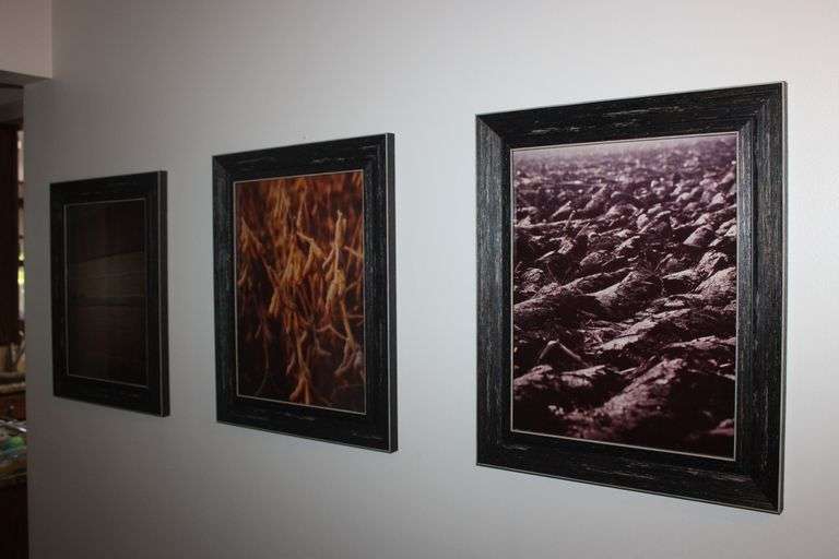 Textural Photo Prints - Auction Ohio