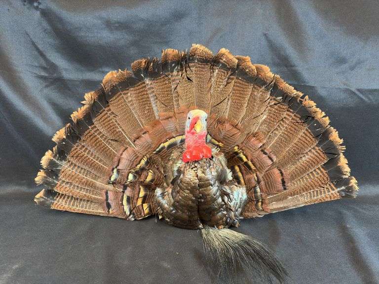 Turkey Mount - Auction Ohio