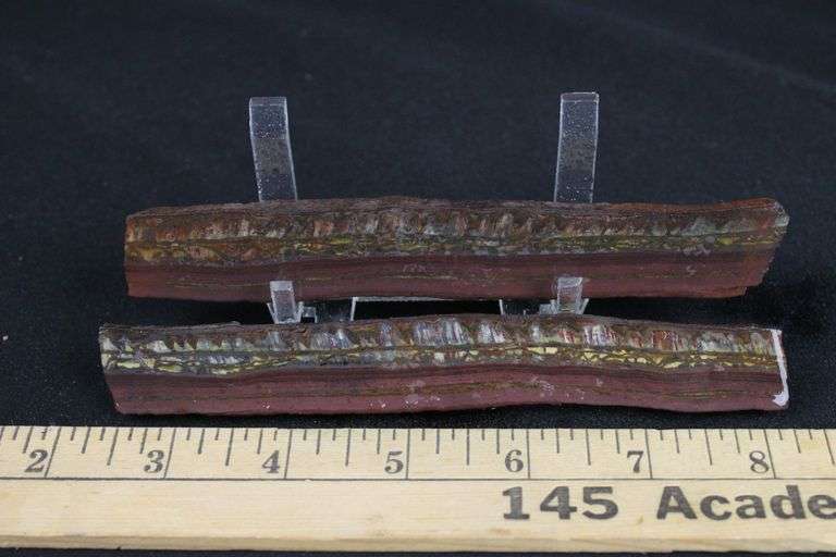 Tiger Iron Slabs - Auction Ohio