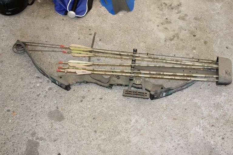 Thunder Flight Compound Bow & Arrows - Auction Ohio