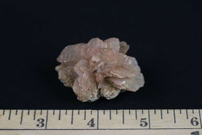 Gypsum Rose Specimen - Auction Ohio