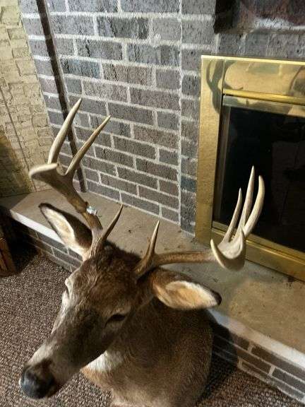 Buck Mount - Auction Ohio