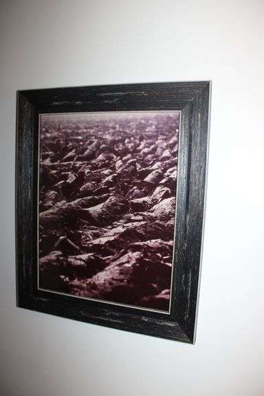 Textural Photo Prints - Auction Ohio