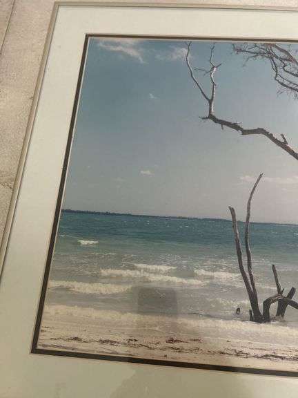 Original Obenour Seascape Photo - Auction Ohio