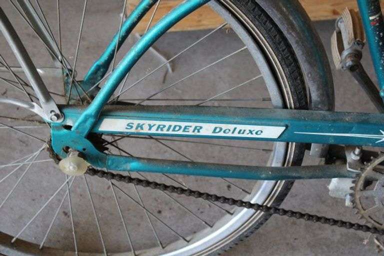 AMF Roadmaster Skyrider Deluxe Cruiser Bicycle with Troxel Saddle ...