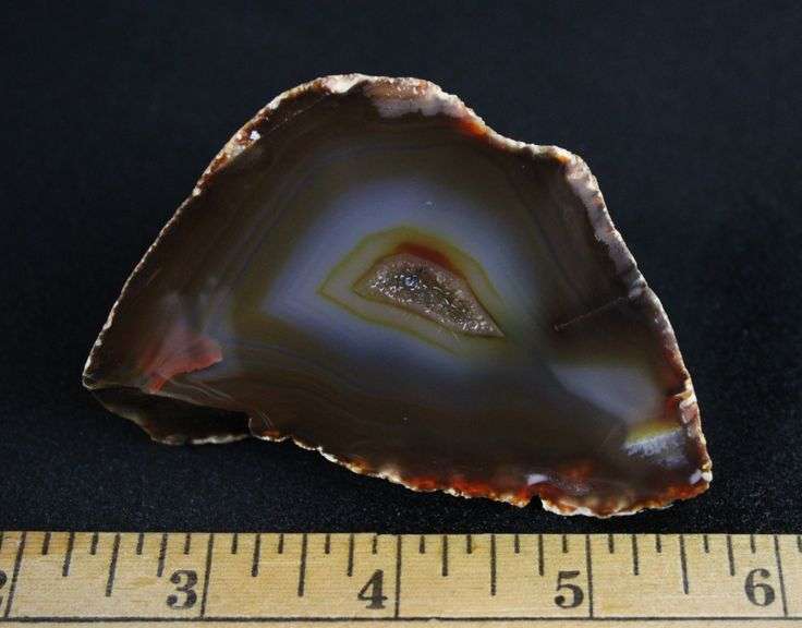 Cut Brazilian Agate - Auction Ohio