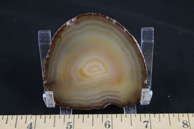Polished Brazilian Agate Slab - Auction Ohio