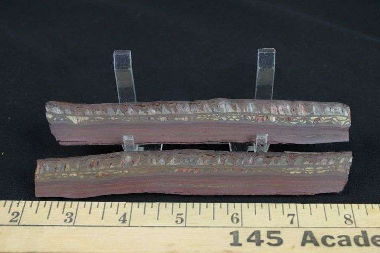 Tiger Iron Slabs - Auction Ohio