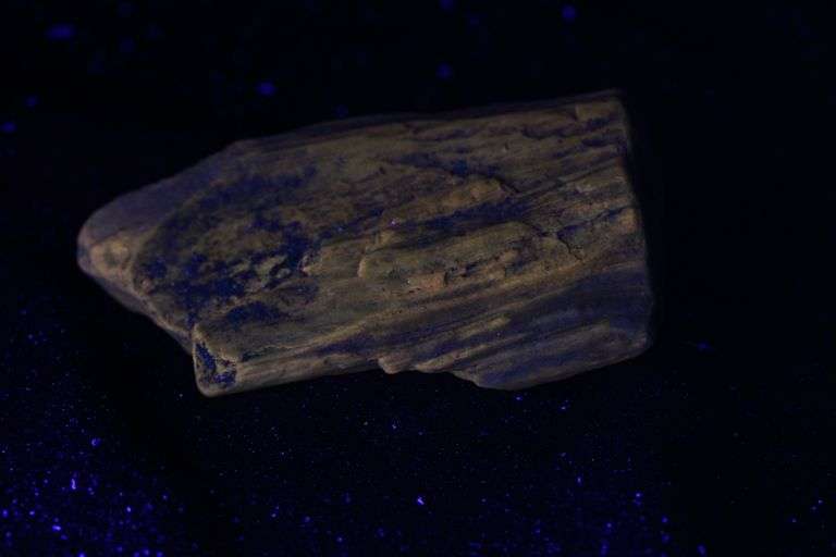 Fluorescent Petrified Wood - Auction Ohio