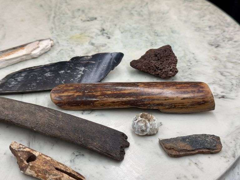 Collection of Fossil, Stone, and Organic Artifacts - Auction Ohio