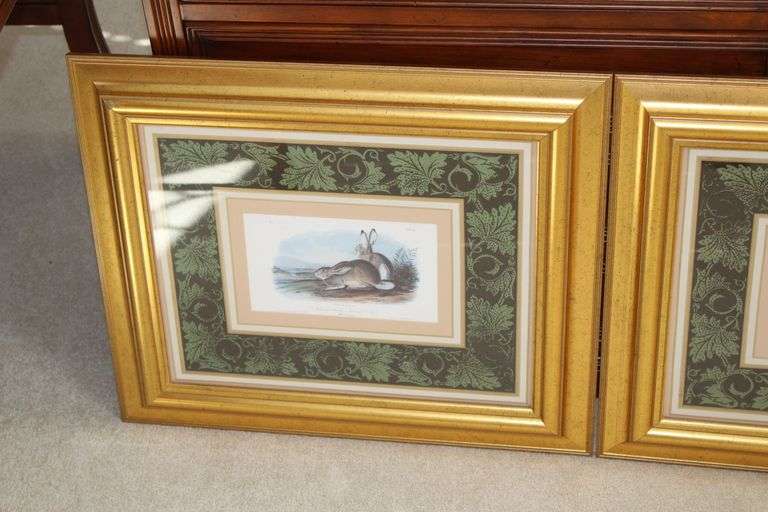 English Rabbit Prints - Auction Ohio