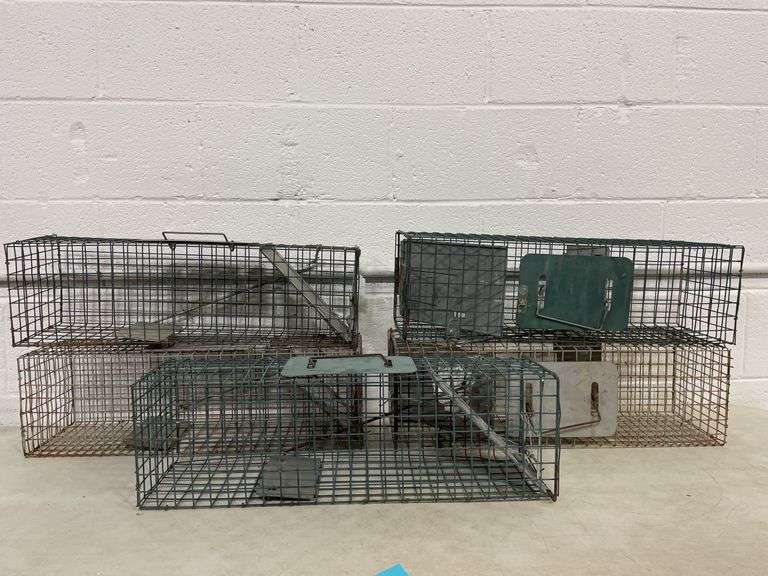LIve Animal Traps - Auction Ohio