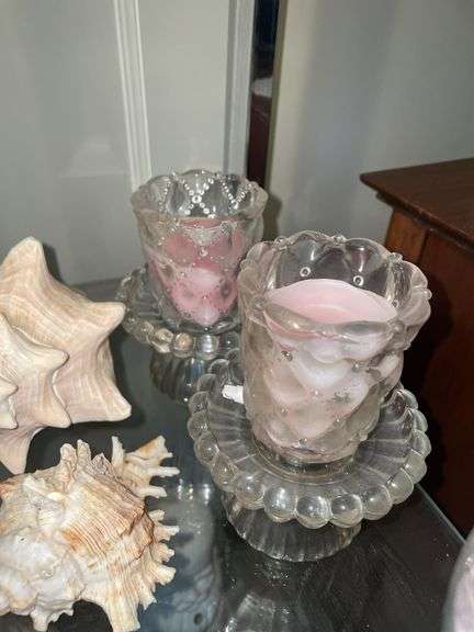 Shell Collection - Auction Ohio