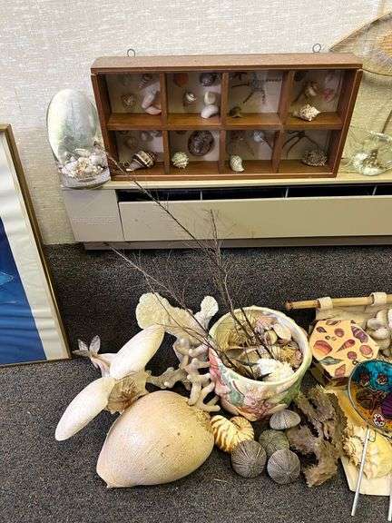 Misc. Seashell Décor - Auction Ohio