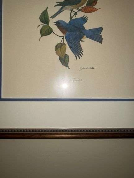John a Rutherford Print "Eastern Bluebird" - Auction Ohio