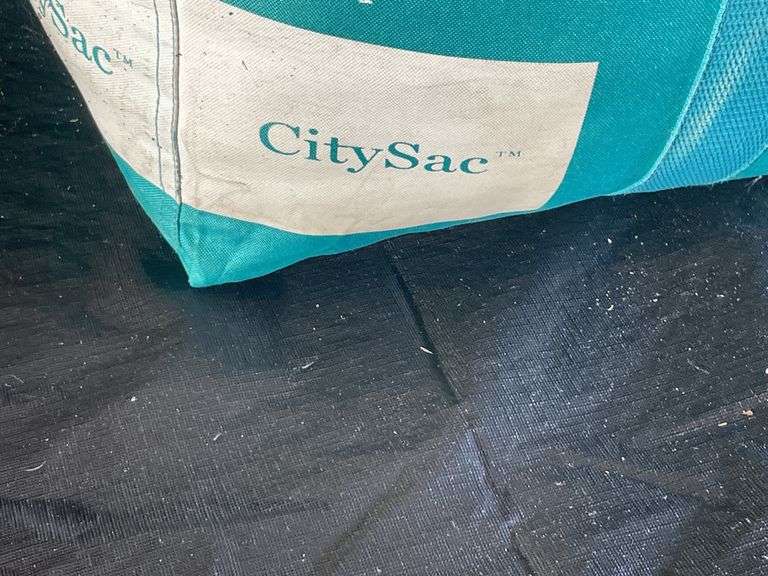 Love Sac “City Sac” & Cover - Auction Ohio