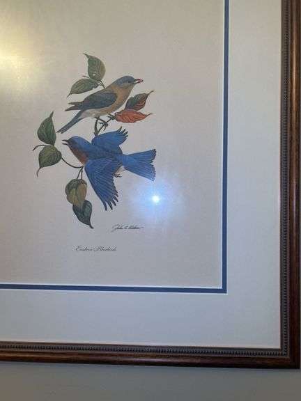 John a Rutherford Print "Eastern Bluebird" - Auction Ohio