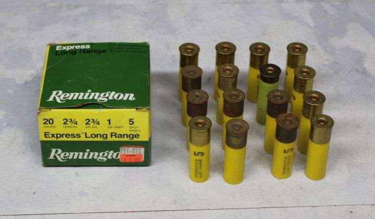 16 Remington 20-Gauge 2-3/4 Inch Express Long Range Shotgun Shells ...