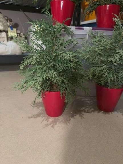 Set of 6 Faux Evergreen Mini Trees in Red Pots - Auction Ohio