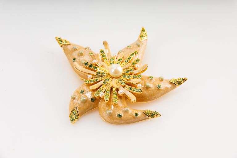 Joan Rivers Starfish Enamel and Rhinestone Brooch- Wow! - Auction Ohio