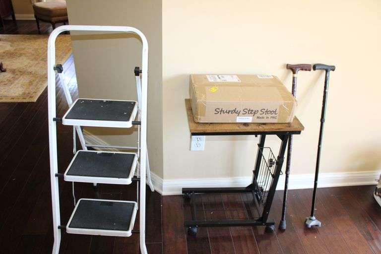 Step Stools, Side Table & Canes - Auction Ohio