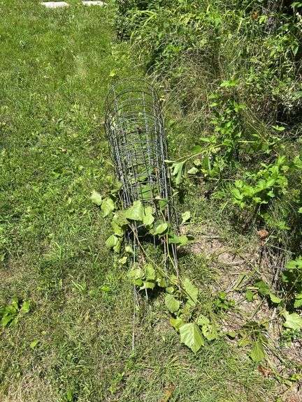 Tomato Cages - Auction Ohio