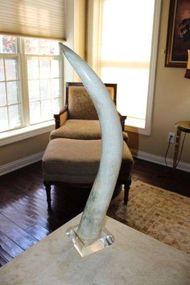 Horn Object - Auction Ohio