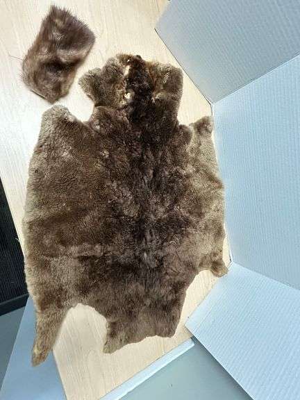 Genuine Fur Pelt – Supreme Fur with Union Stamp - Auction Ohio