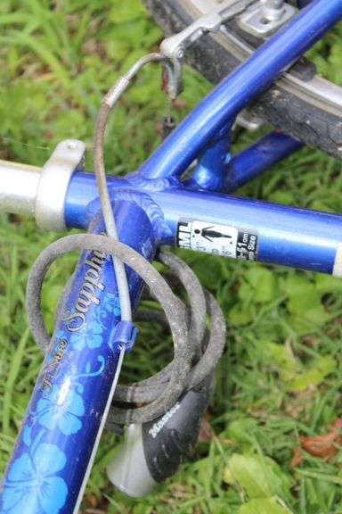 GT Timberline & T-Nine Sapphire Bicycles - Auction Ohio