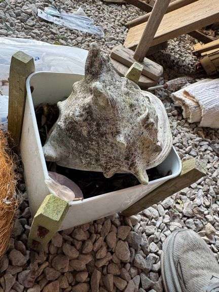 Sea Shell Collection in Containers - Auction Ohio