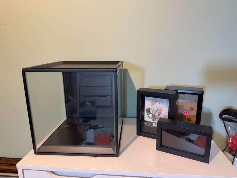 Large Square Glass Terrarium & 3 Small Shadow Boxes - Auction Ohio