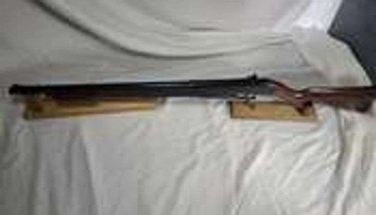 Daisy Model 25 Pump Action BB Gun - Auction Ohio