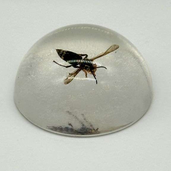 MCM - Rolfe Lucite Bee Paperweight - Auction Ohio