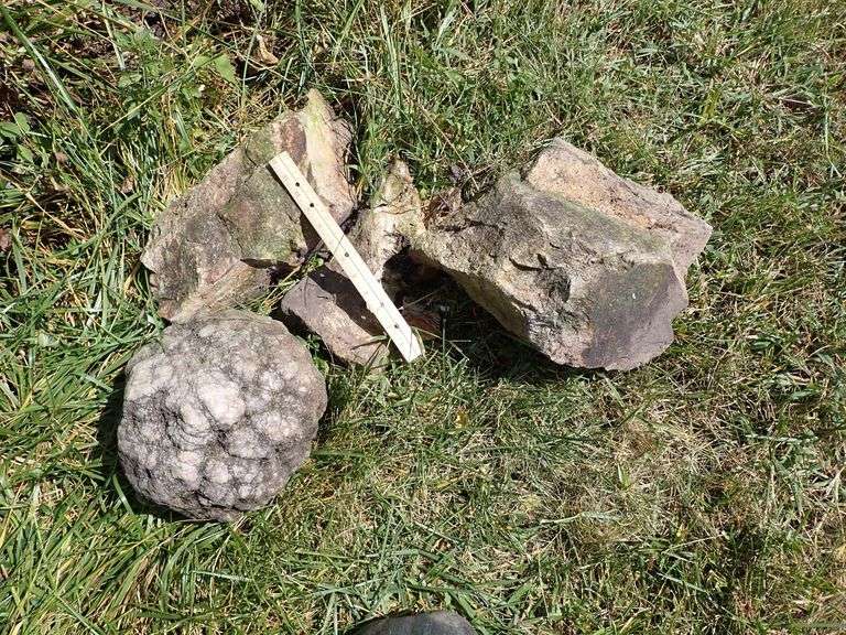 Geode and Banded Sandstone Specimens - Auction Ohio
