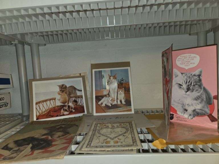 Cat vtg cards - Auction Ohio