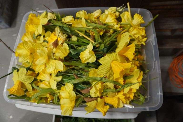 Artificial Yellow Daffodils & Small White Flowers with Ribbon Bouquets ...