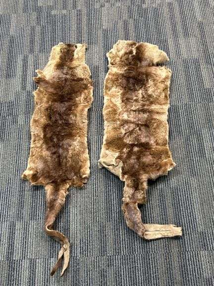 Natural Animal Pelts with Tails – Approximate 26 Inches Long - Auction Ohio