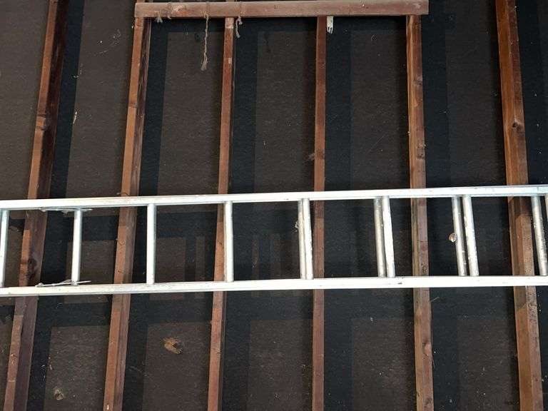 Aluminum Extension Ladder - Auction Ohio